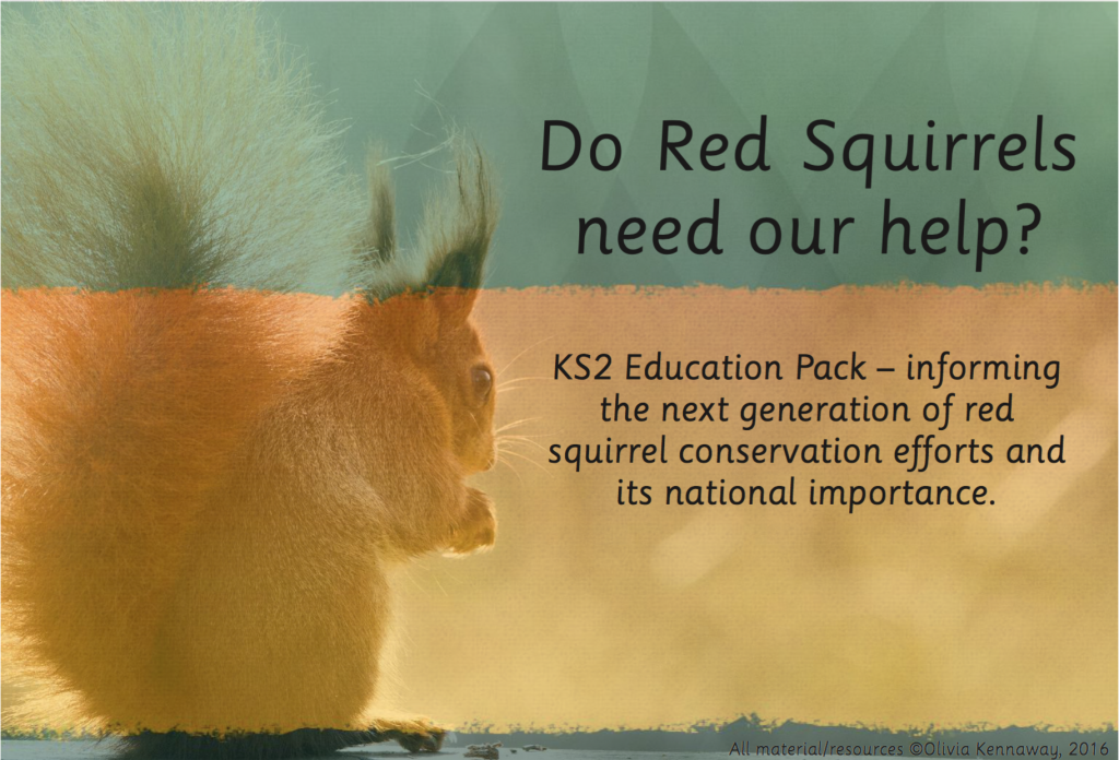 Education - British Red Squirrel